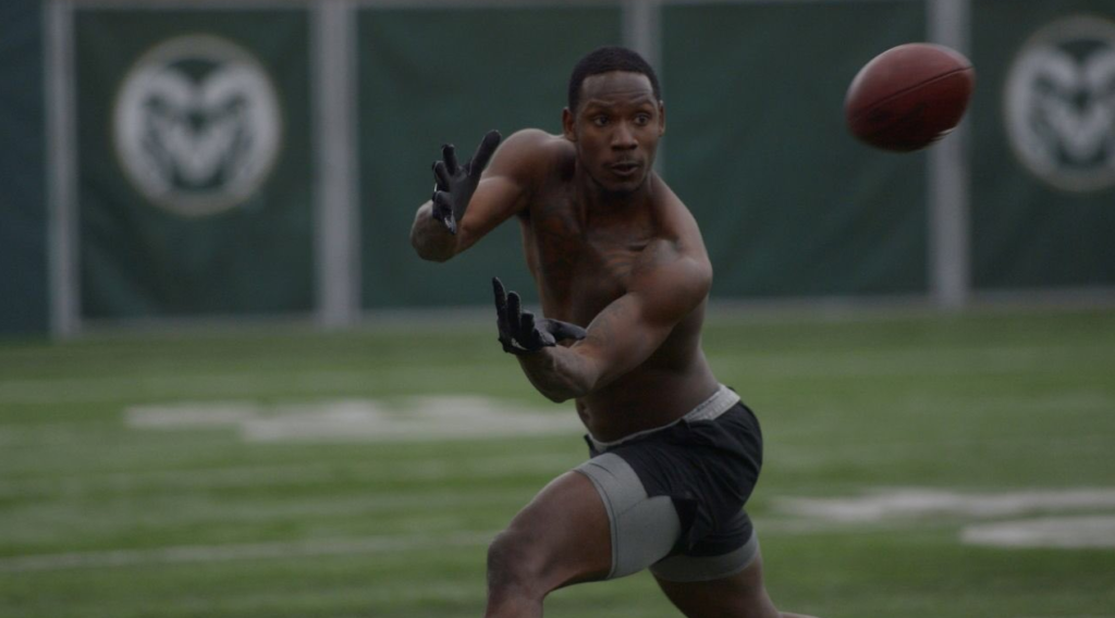 2020 Preston Williams Fantasy Football Player Profile – Football Absurdity