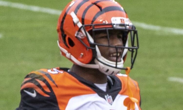 2022 Tee Higgins Fantasy Football Player Profile